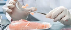 Infección e intoxicación alimentaria: diferencias clave para la salud